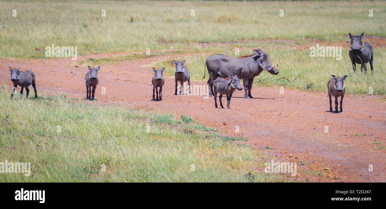 Sounder hi-res stock photography and images - Alamy