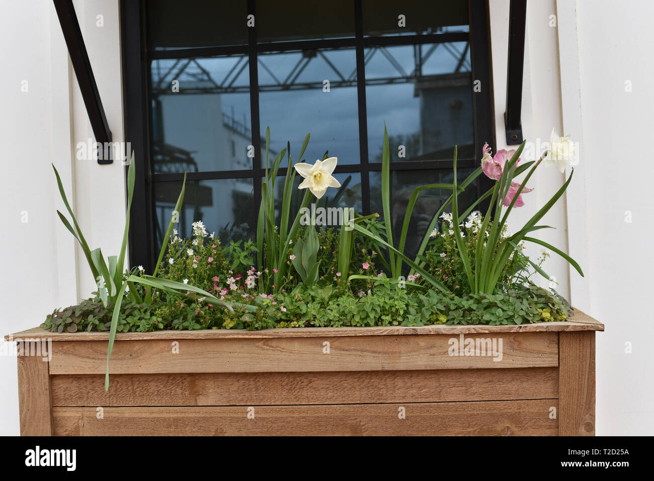 White flowerbox and green leaves hi-res stock photography and images ...