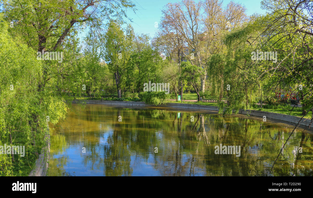 Bucharest Nature Park High Resolution Stock Photography and Images - Alamy