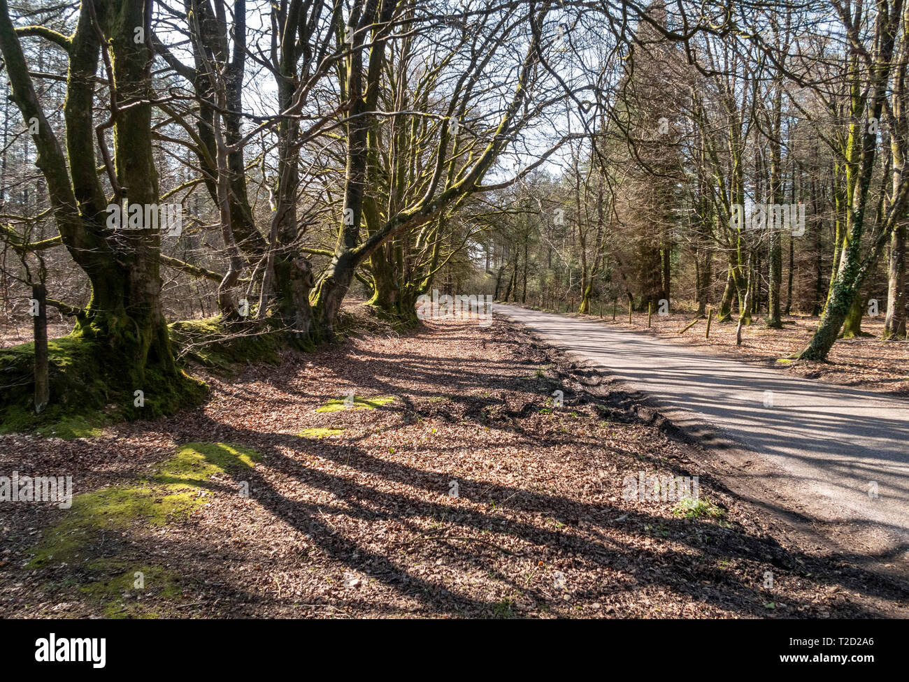 River ottery hi-res stock photography and images - Alamy