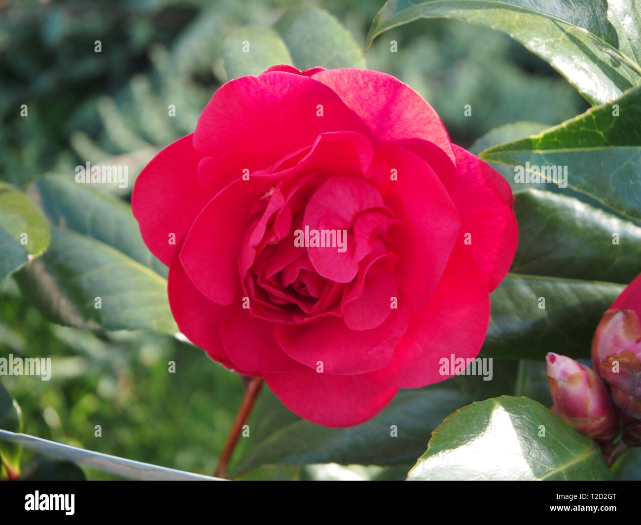 Les jury hi-res stock photography and images - Alamy