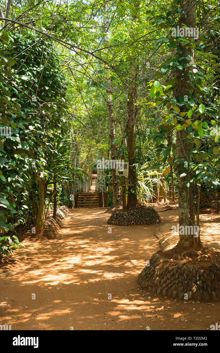 Matale, Sri Lanka Stock Photo - Alamy