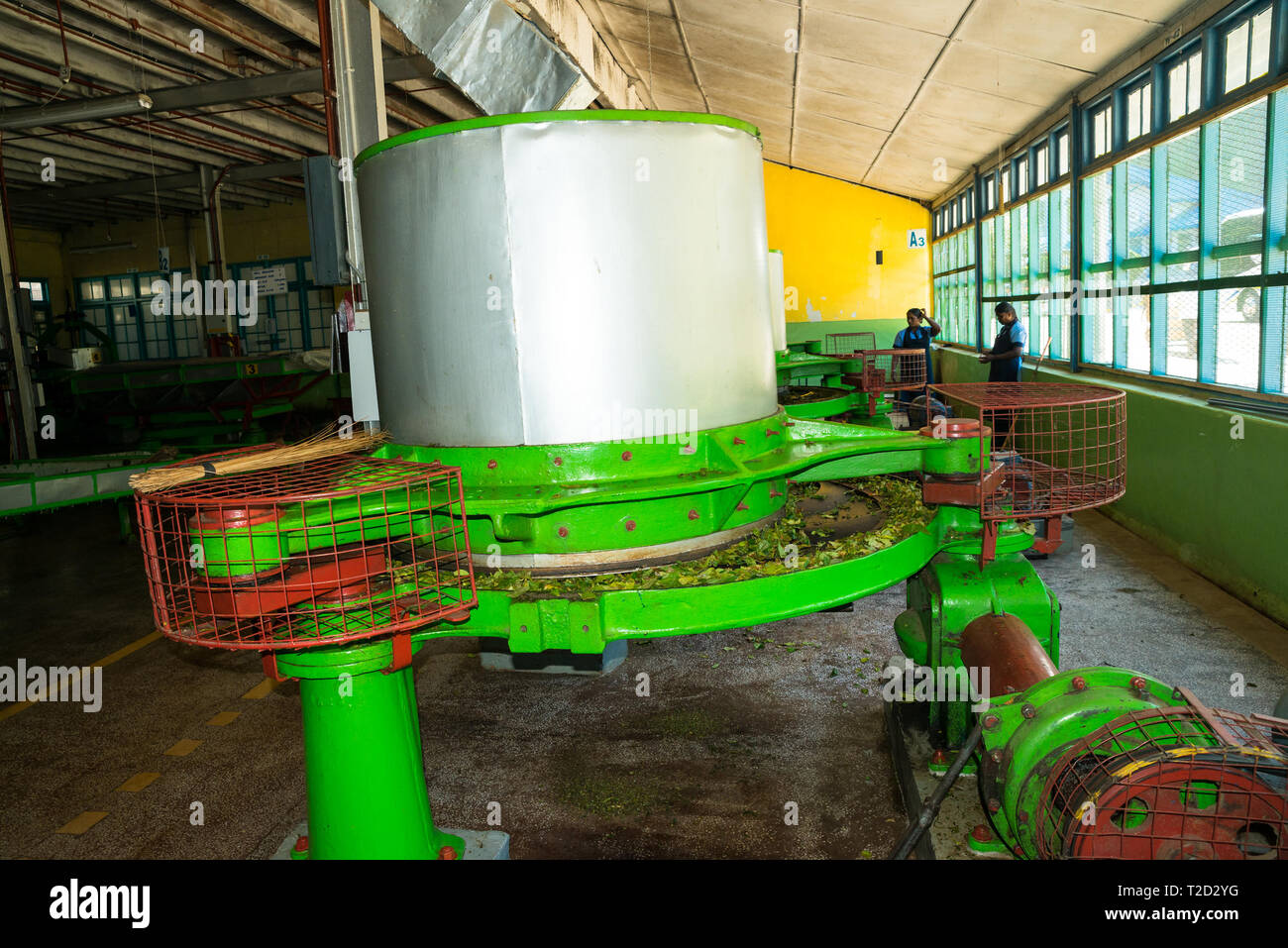 Blue field tea estate factory in Mount Harrow, Sri Lanka Stock Photo ...