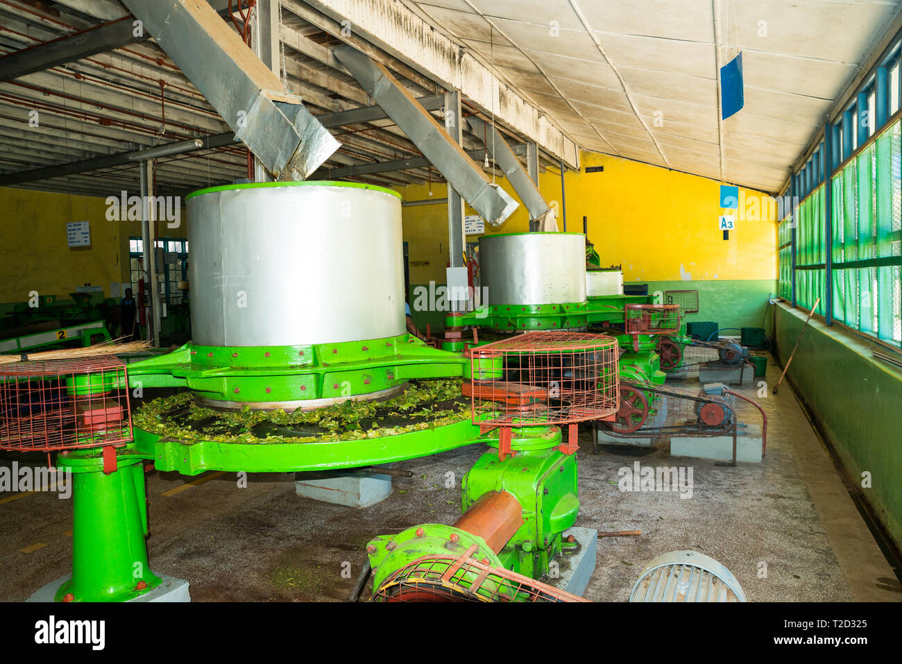 Blue Field Tea Estate Sri Lanka High Resolution Stock Photography and ...