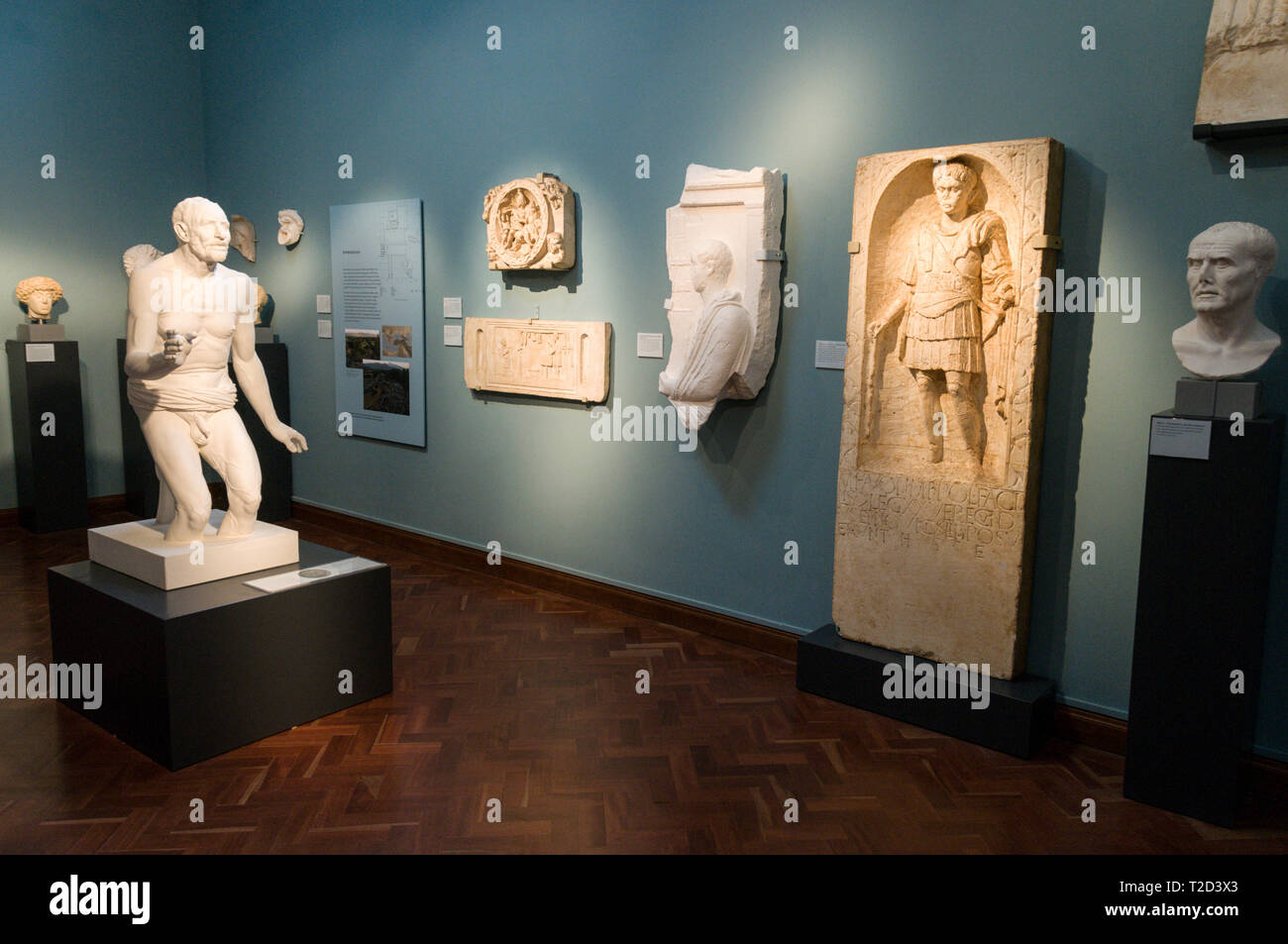 A group of mixed Greek and Roman marble statues on display at the ...