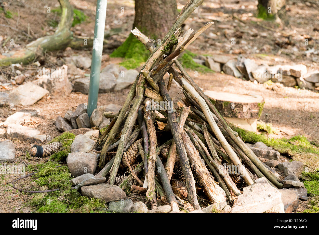 Closeup image wood pellets hi-res stock photography and images - Alamy