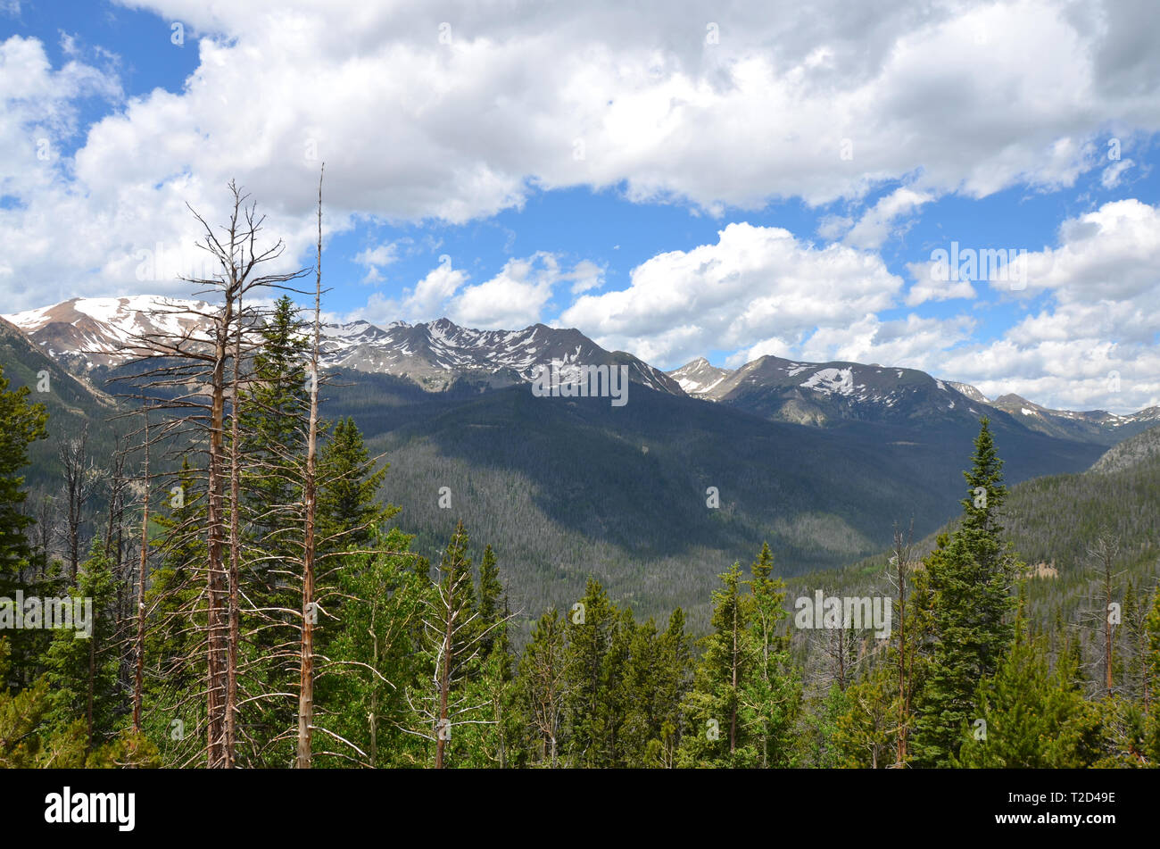 Rocky cliff mountains colorado hi-res stock photography and images - Alamy