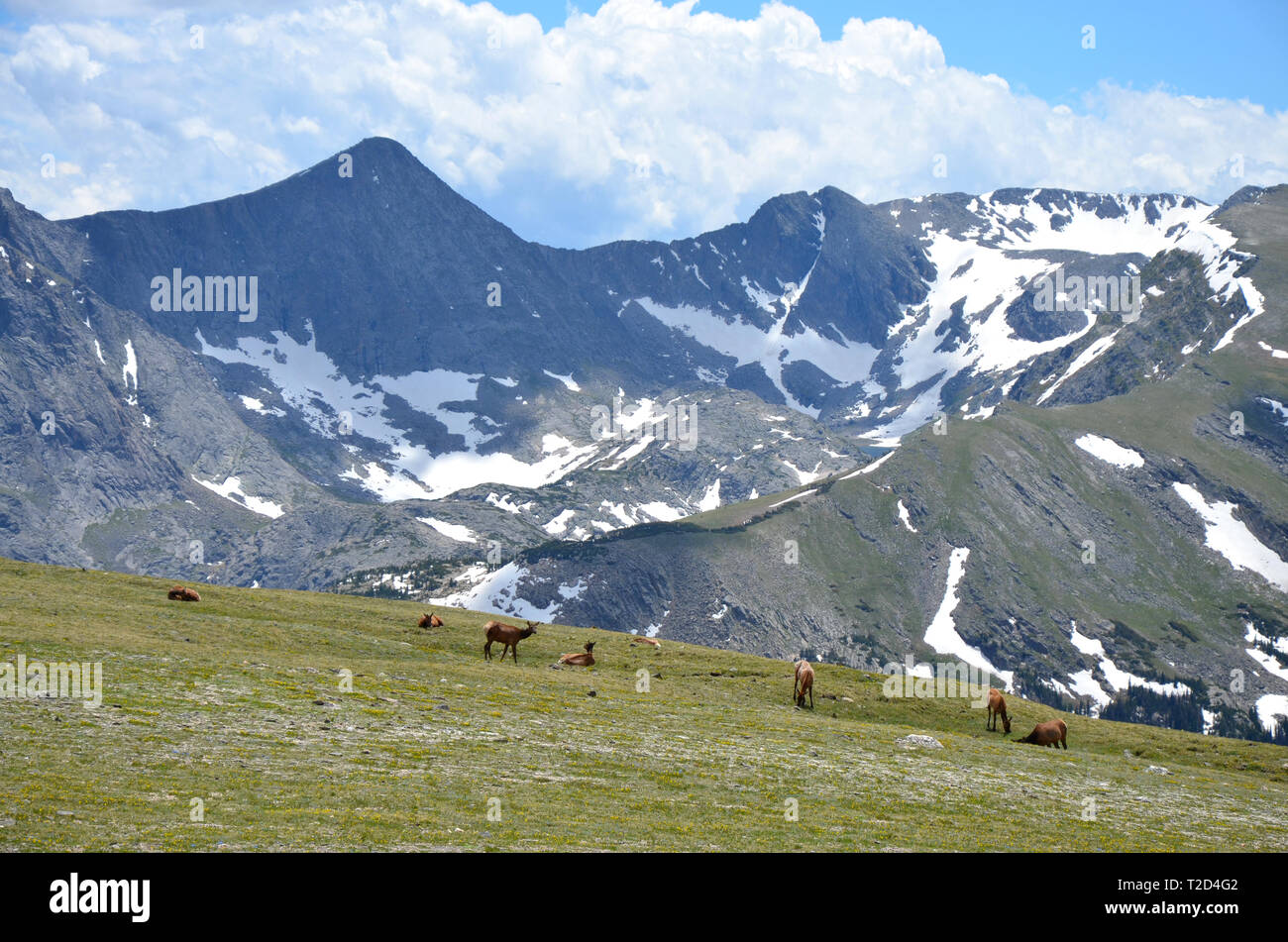 Colorado rock mountains hi-res stock photography and images - Alamy