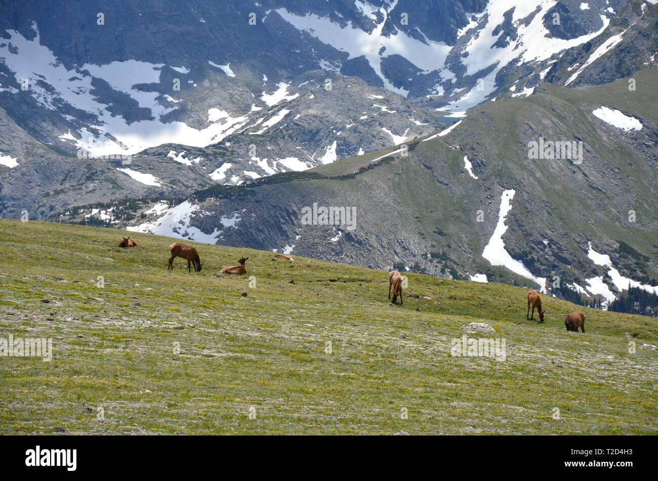 Rocky cliff mountains colorado hi-res stock photography and images - Alamy