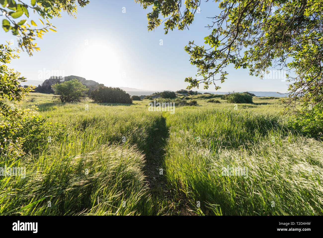 Santa Susana Pass State Historic Park spring meadow sunrise near Porter ...