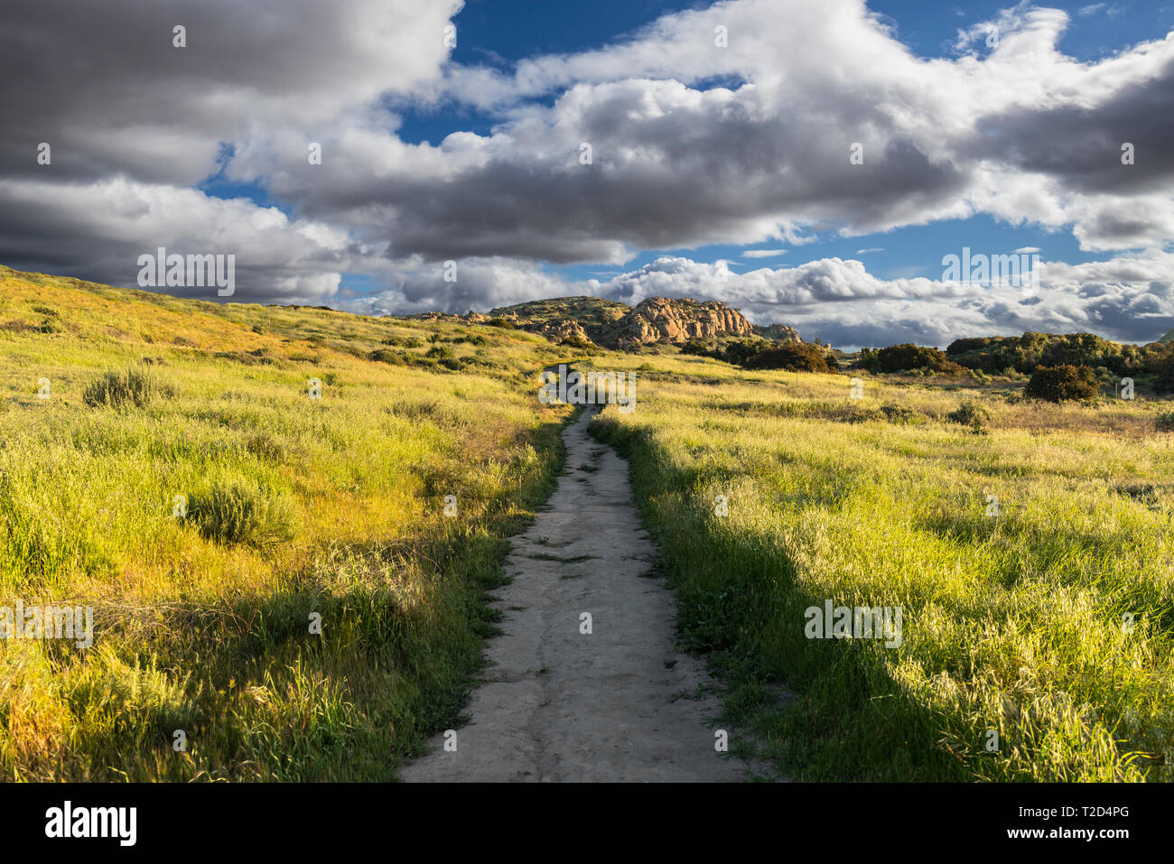 San Fernando Valley spring mountain meadow trail at Santa Susana Pass ...