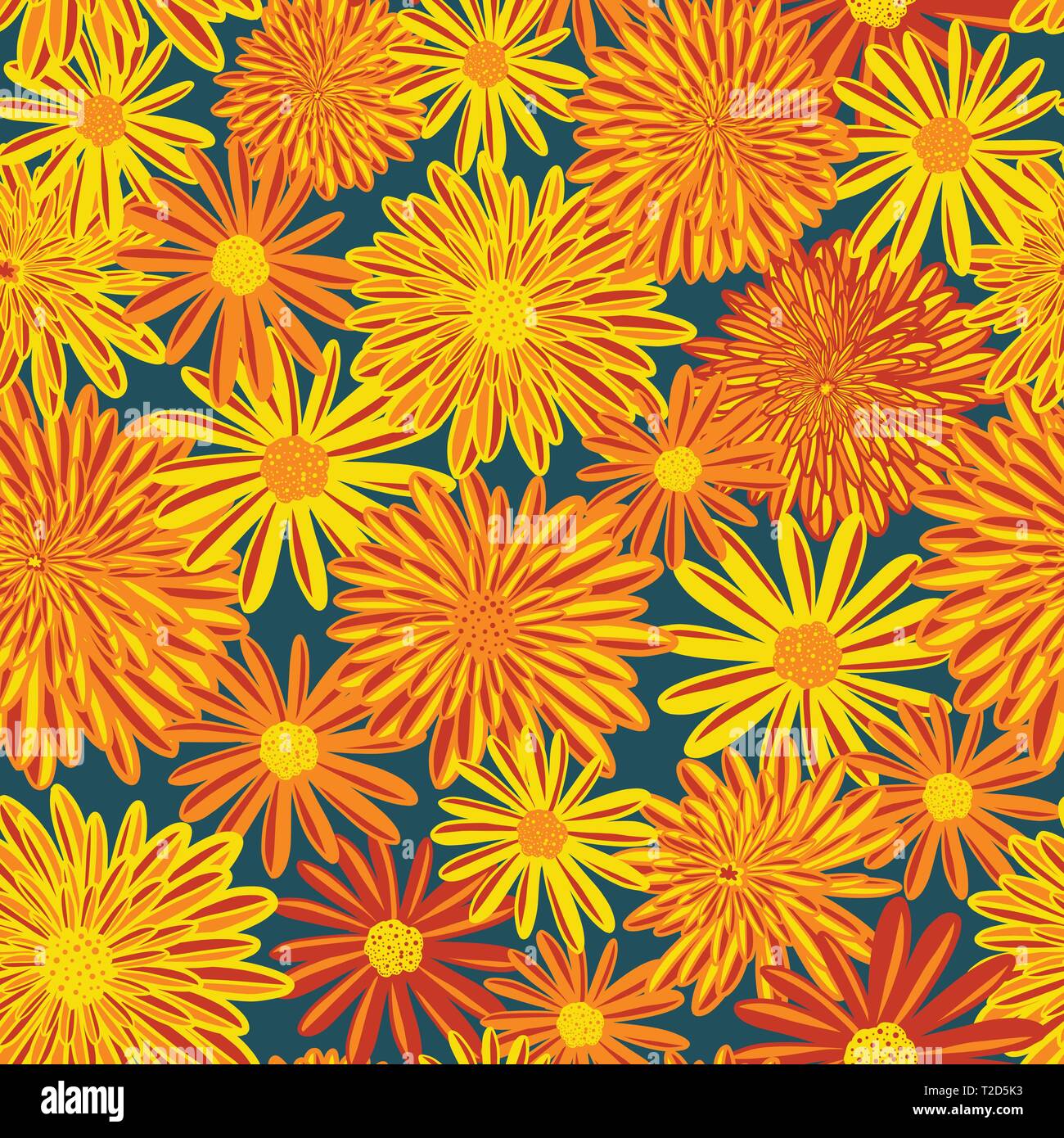 Aster asteraceae Stock Vector Images - Alamy