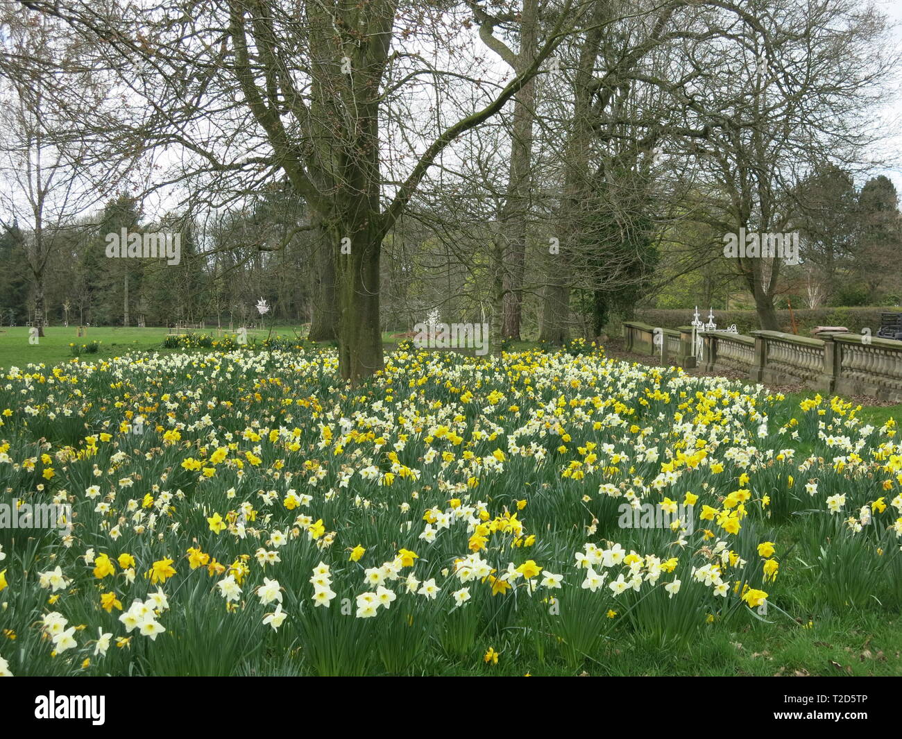 Worden park leyland hi-res stock photography and images - Alamy