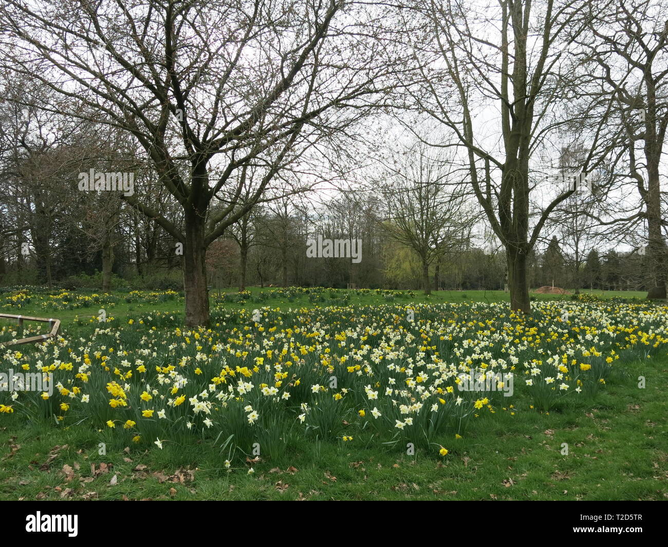 View of Worden Park on a sunny day in spring time; wide open space to ...