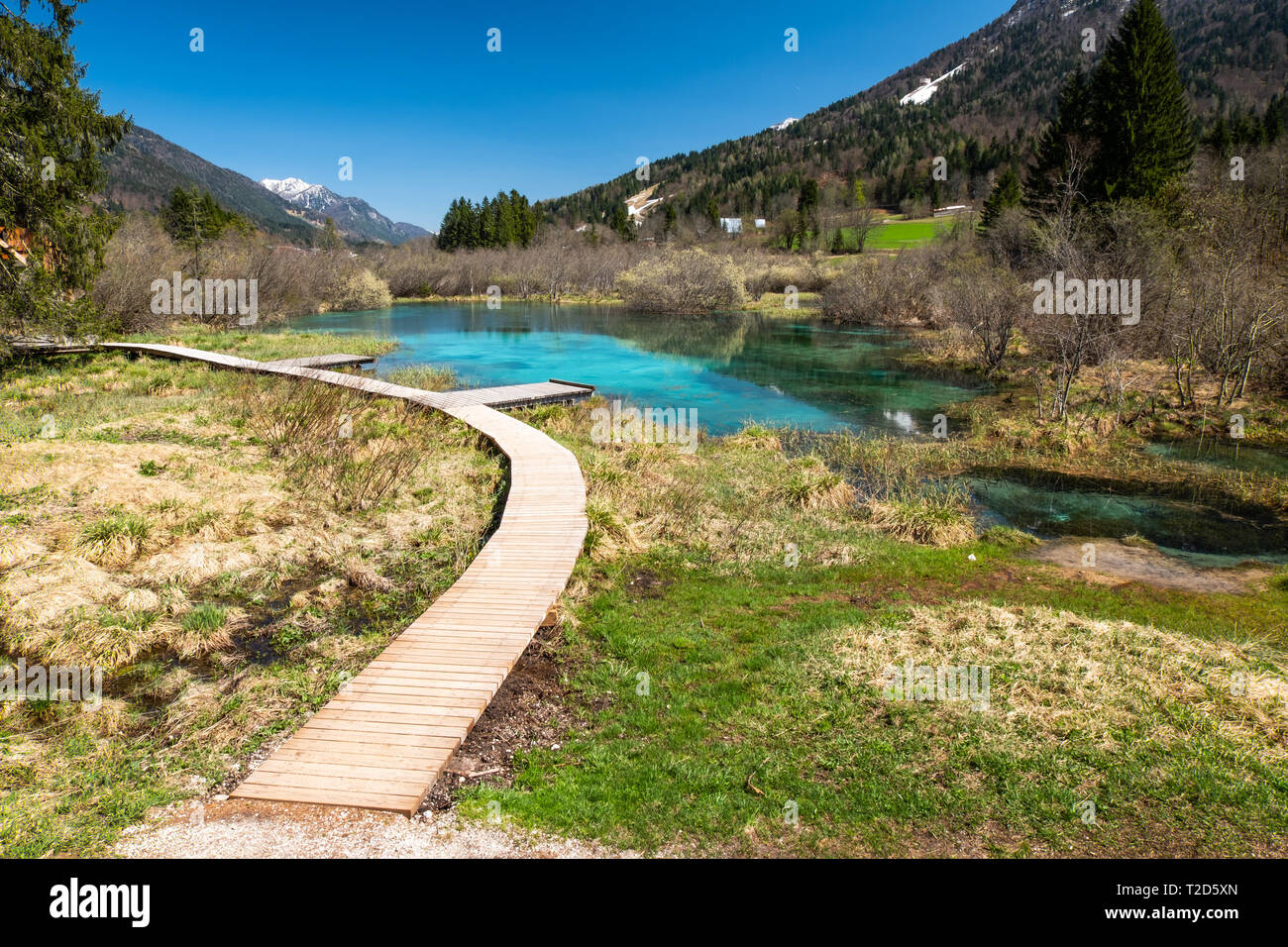 Lake Zelenci, source of the Sava Dolinka River, with the observation ...