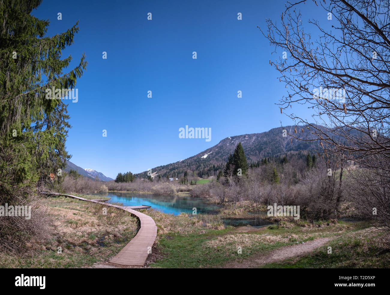 Lake Zelenci, source of the Sava Dolinka River, with the observation ...