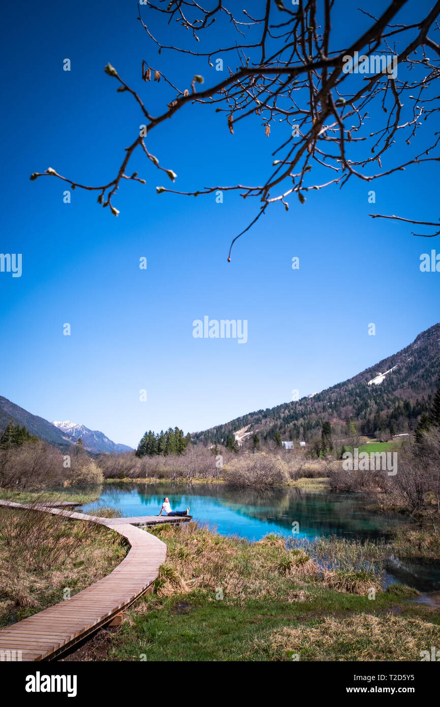 Lake Zelenci, source of the Sava Dolinka River, with the observation ...
