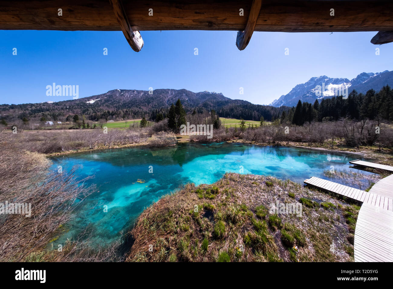 Lake Zelenci, source of the Sava Dolinka River, with the observation ...