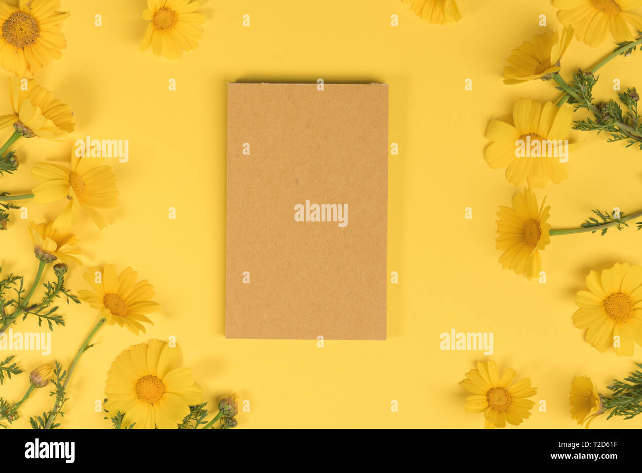 Flowers composition. Paper blank , chamomile flowers on yellow ...