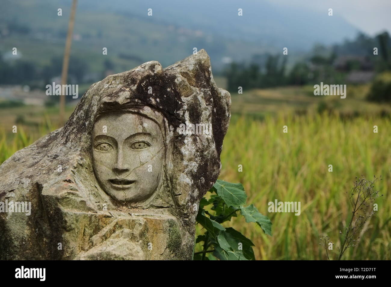 Stone Sculpture in Sapa (Vietnam Stock Photo - Alamy
