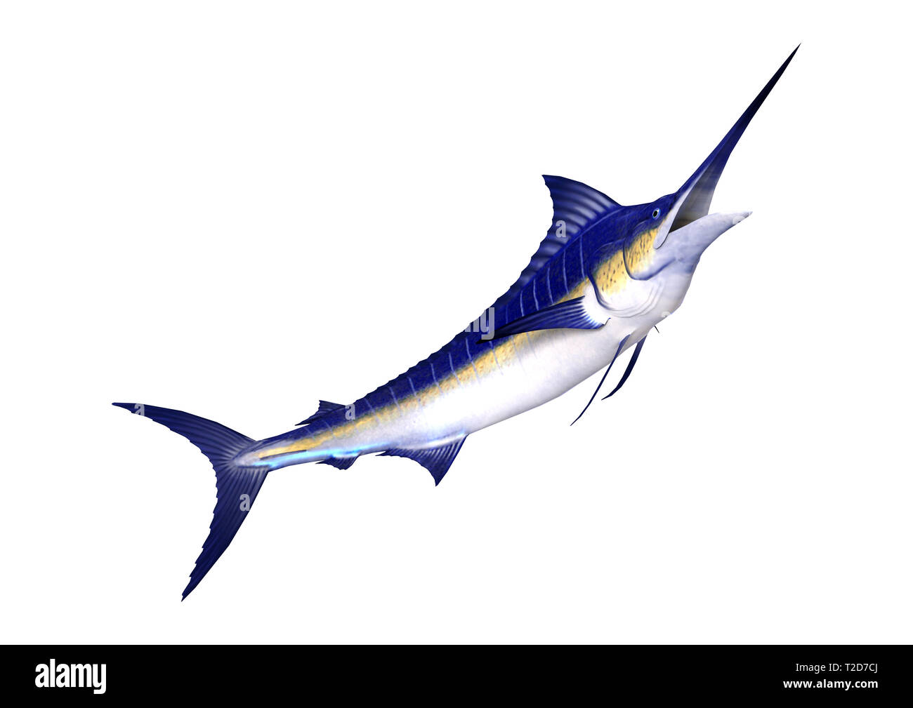 3D rendering of a marlin fish isolated on white background Stock Photo ...