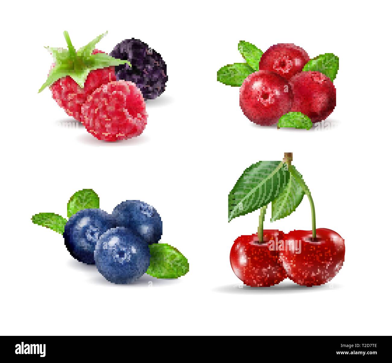 Forest berry. Sweet fruit. Realistic illustration. 3d vector icon set ...