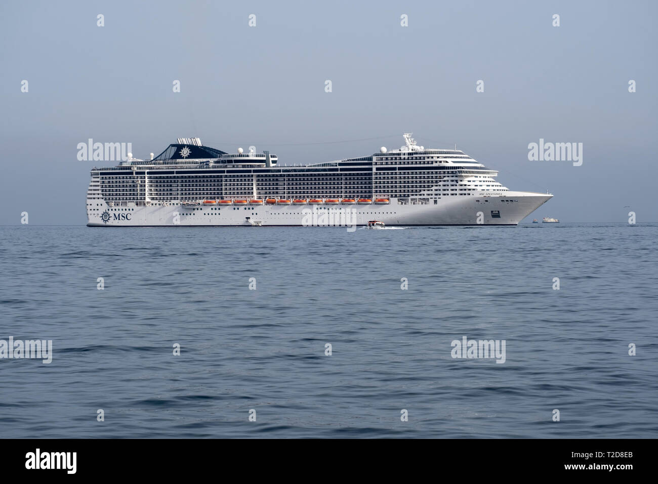 Cruise ship MSC Splendida at sea Stock Photo - Alamy