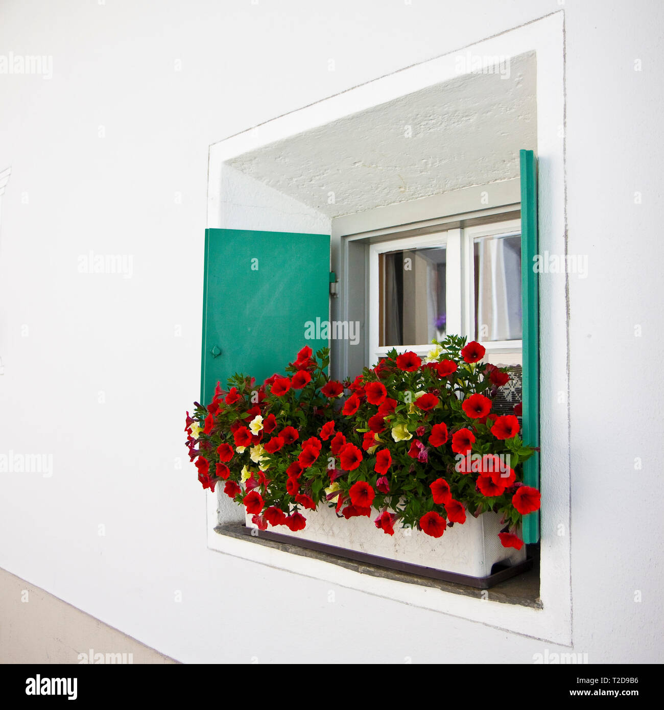 Typical swiss window with shutters in green and colorful flowers on the ...