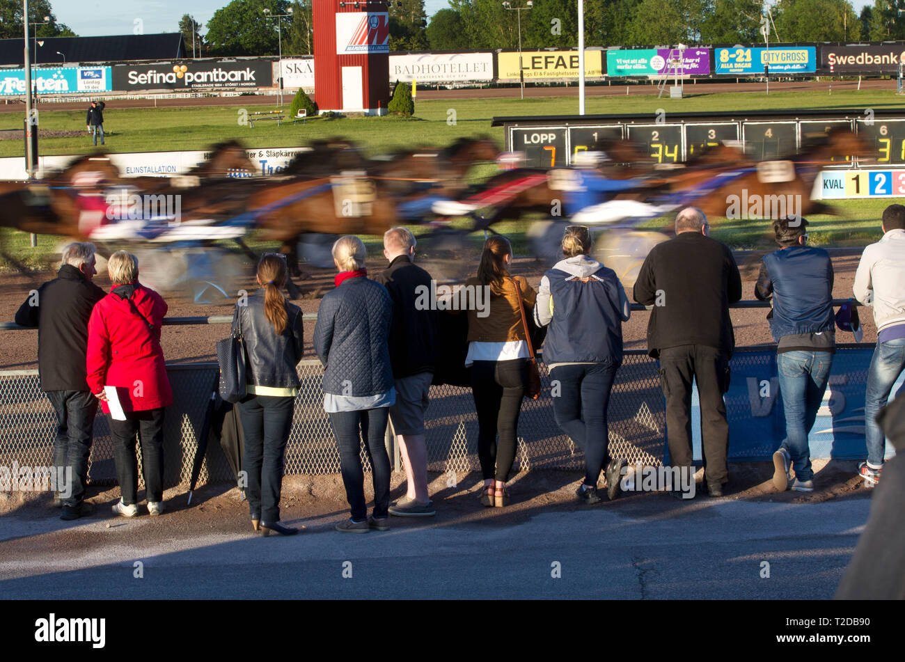 Audience during a trot race Stock Photo - Alamy