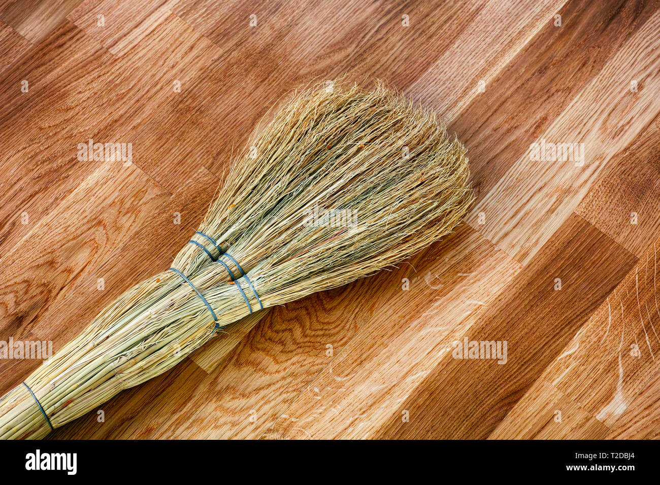 Broom bush hi-res stock photography and images - Alamy