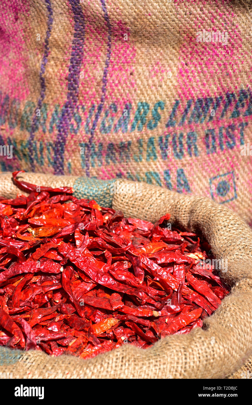 Dried Red Chillies in sacks, Jaisalmer Fort, Jaisalmer, Rajasthan ...