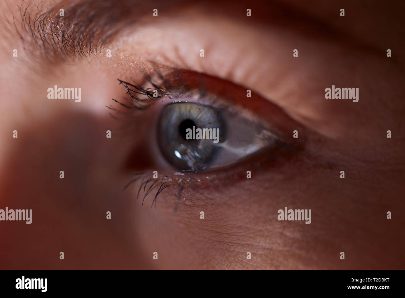 Eye staring hi-res stock photography and images - Alamy