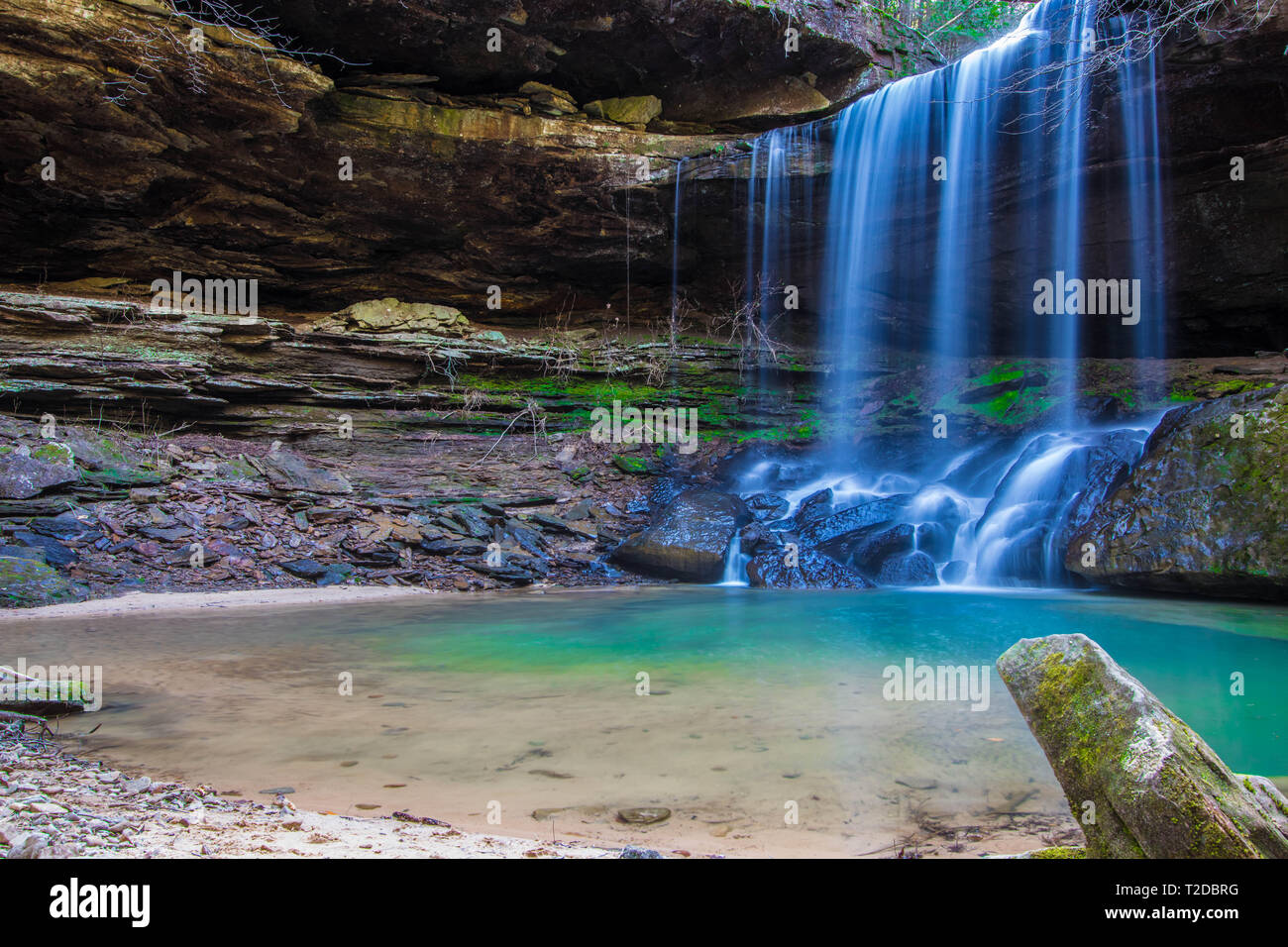 Bankhead moss hi-res stock photography and images - Alamy