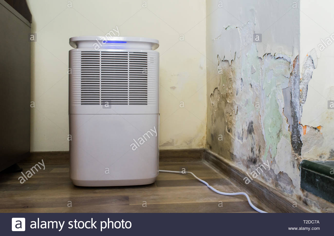 Water Damaged Room High Resolution Stock Photography and Images - Alamy