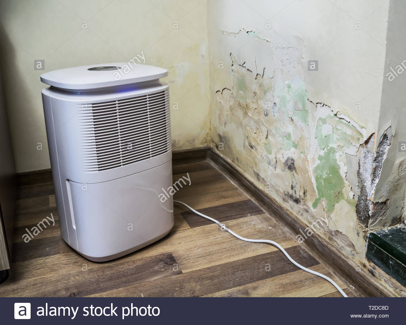 Wet Wall High Resolution Stock Photography and Images - Alamy