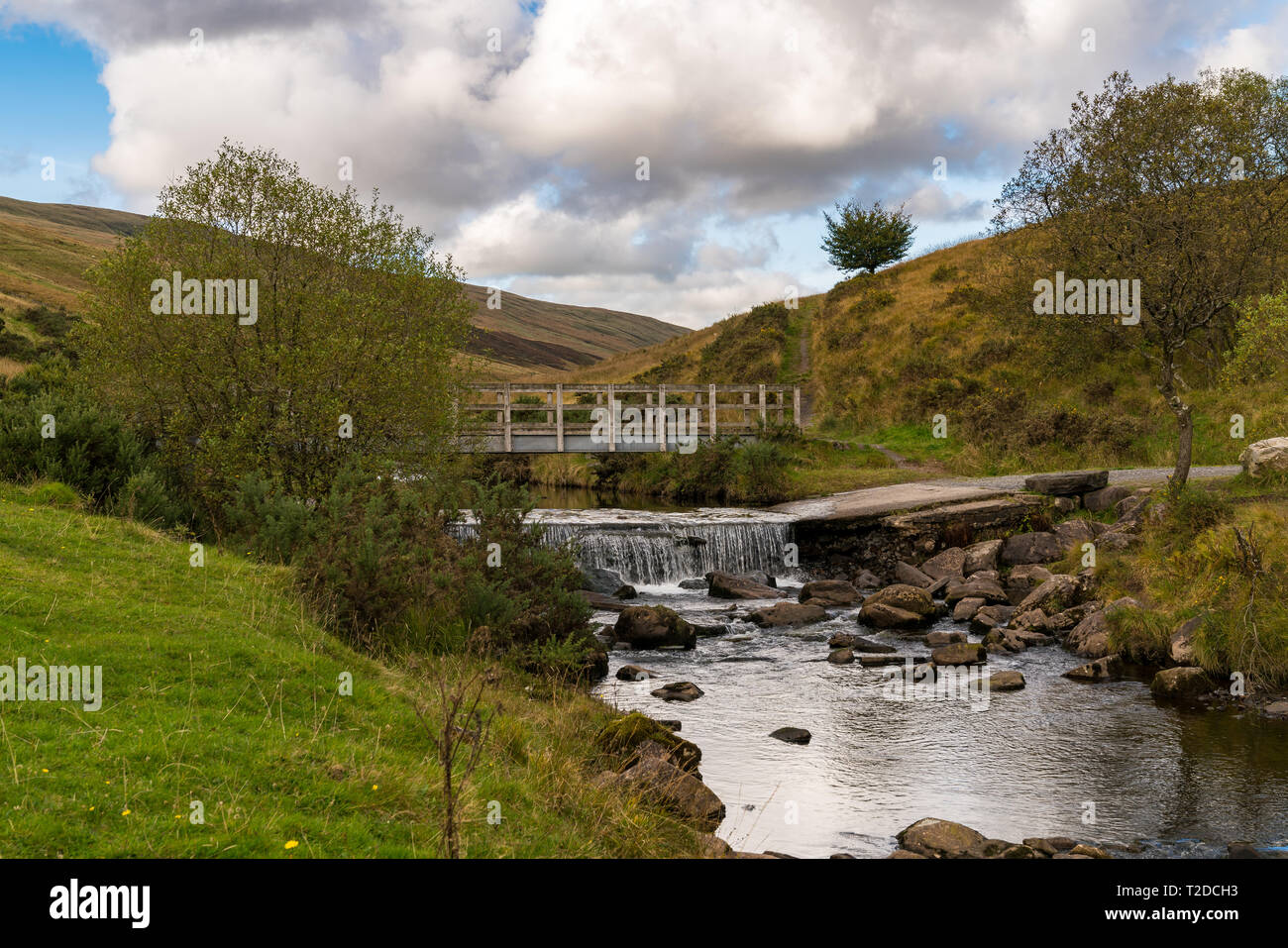 River llia hi-res stock photography and images - Alamy