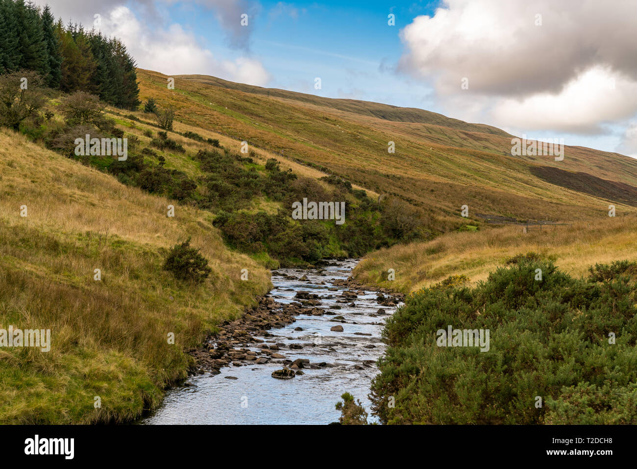 Afon Llia near Ystradfellte in Powys, Wales, UK Stock Photo - Alamy