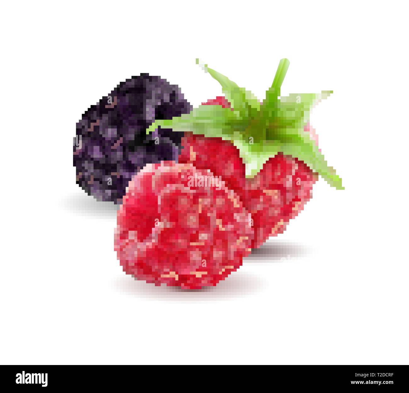 Realistic vector. Blackberries with raspberries set isolated on white ...