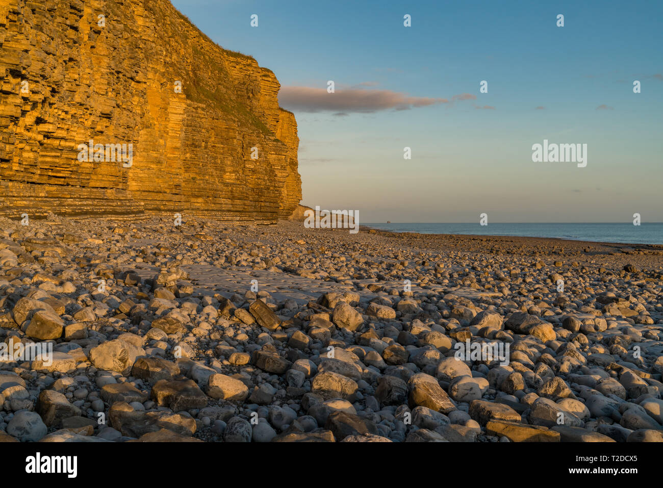 The stones and cliffs of Llantwit Major Beach in the evening sun, South ...