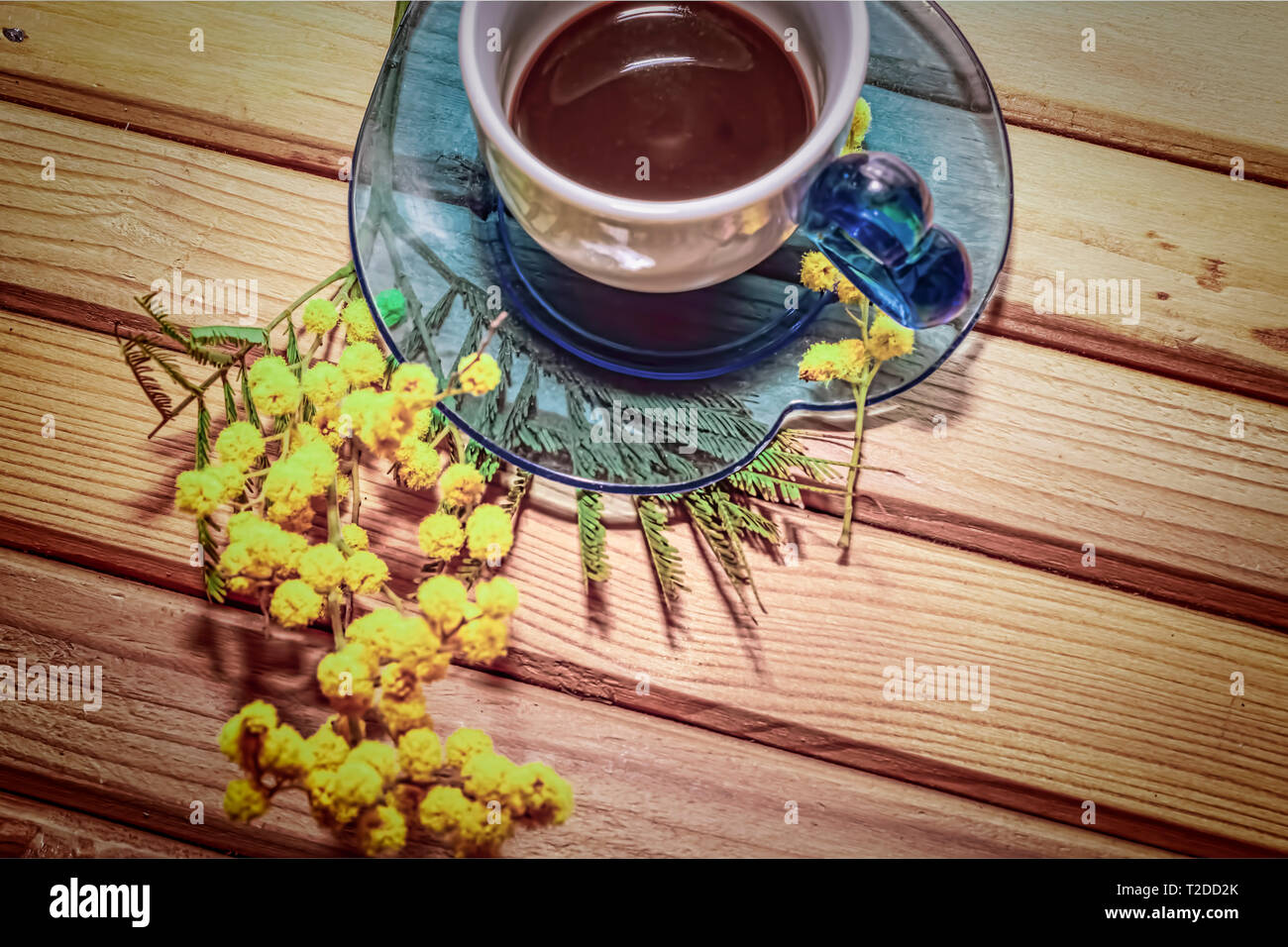 Spring mimosa flowers table hi-res stock photography and images - Alamy