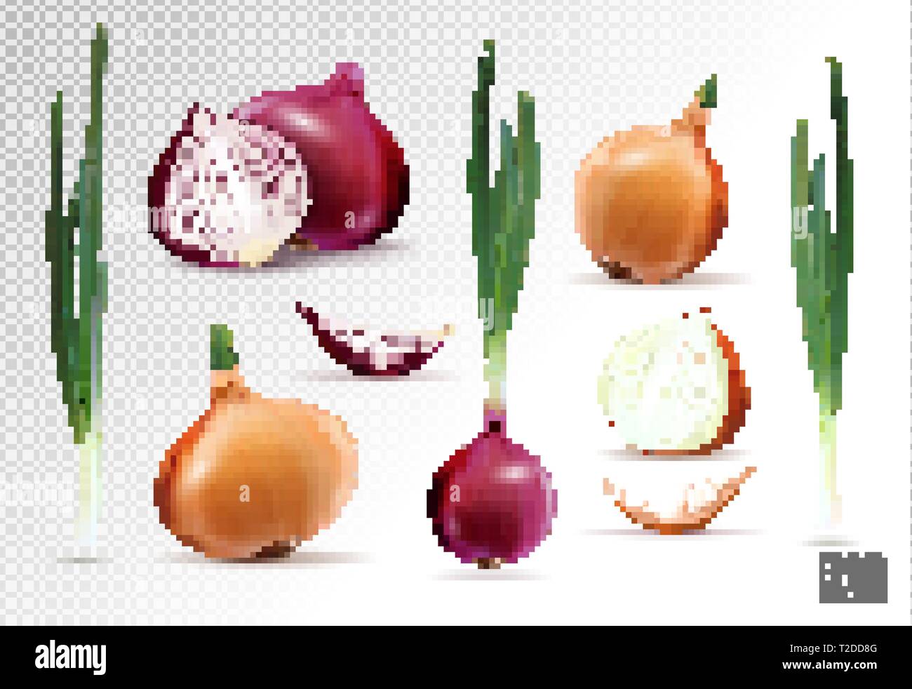 Vector collection of onions with slices isolated on transparent ...