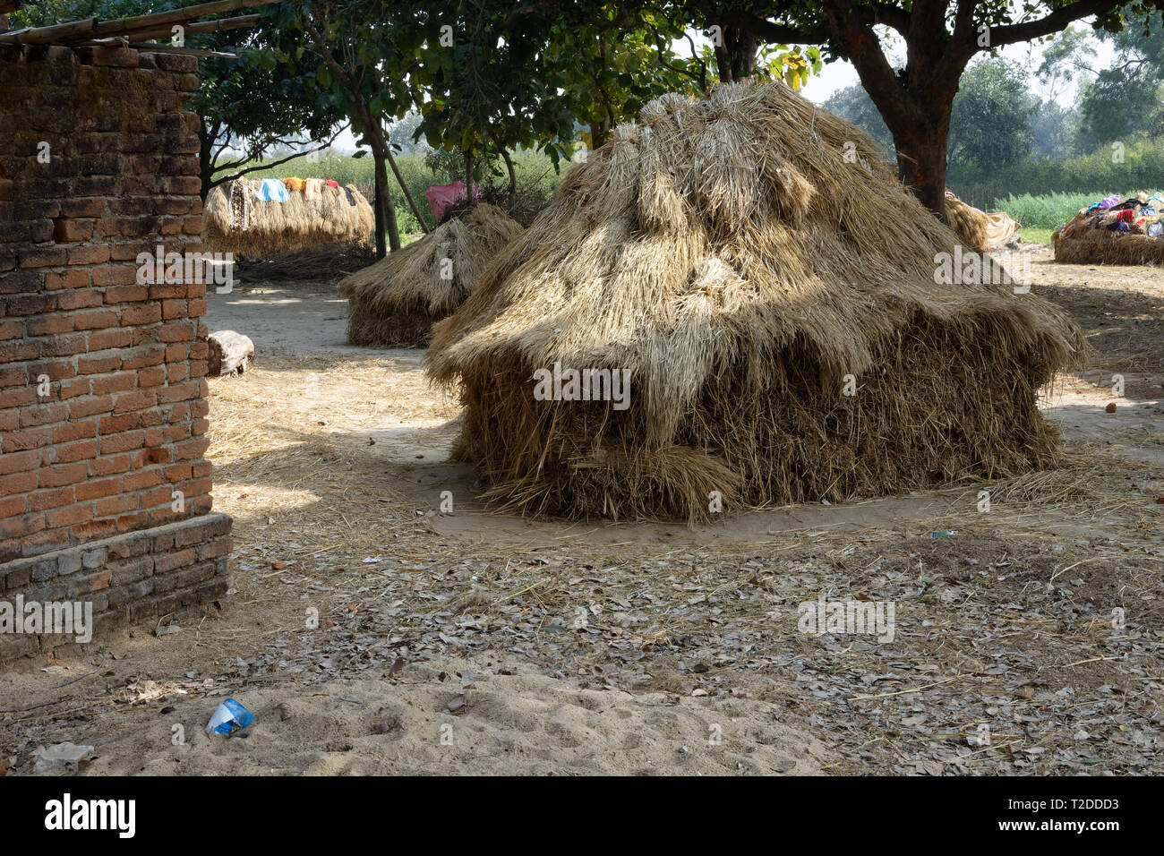 Indian hut hi-res stock photography and images - Alamy