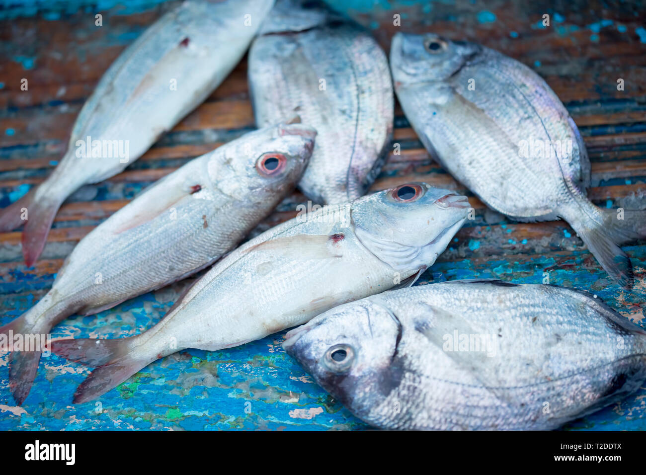 Fish market agadir morocco hi-res stock photography and images - Alamy