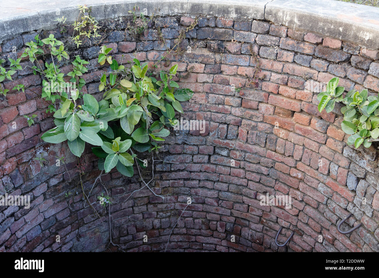 Vintage water well hi-res stock photography and images - Alamy