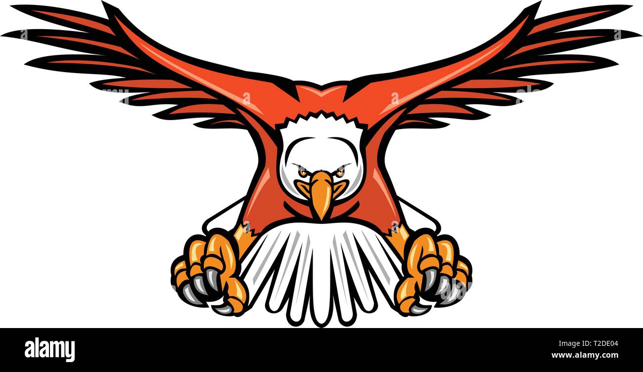 Mascot icon illustration of a bald eagle, sea eagle or American eagle ...