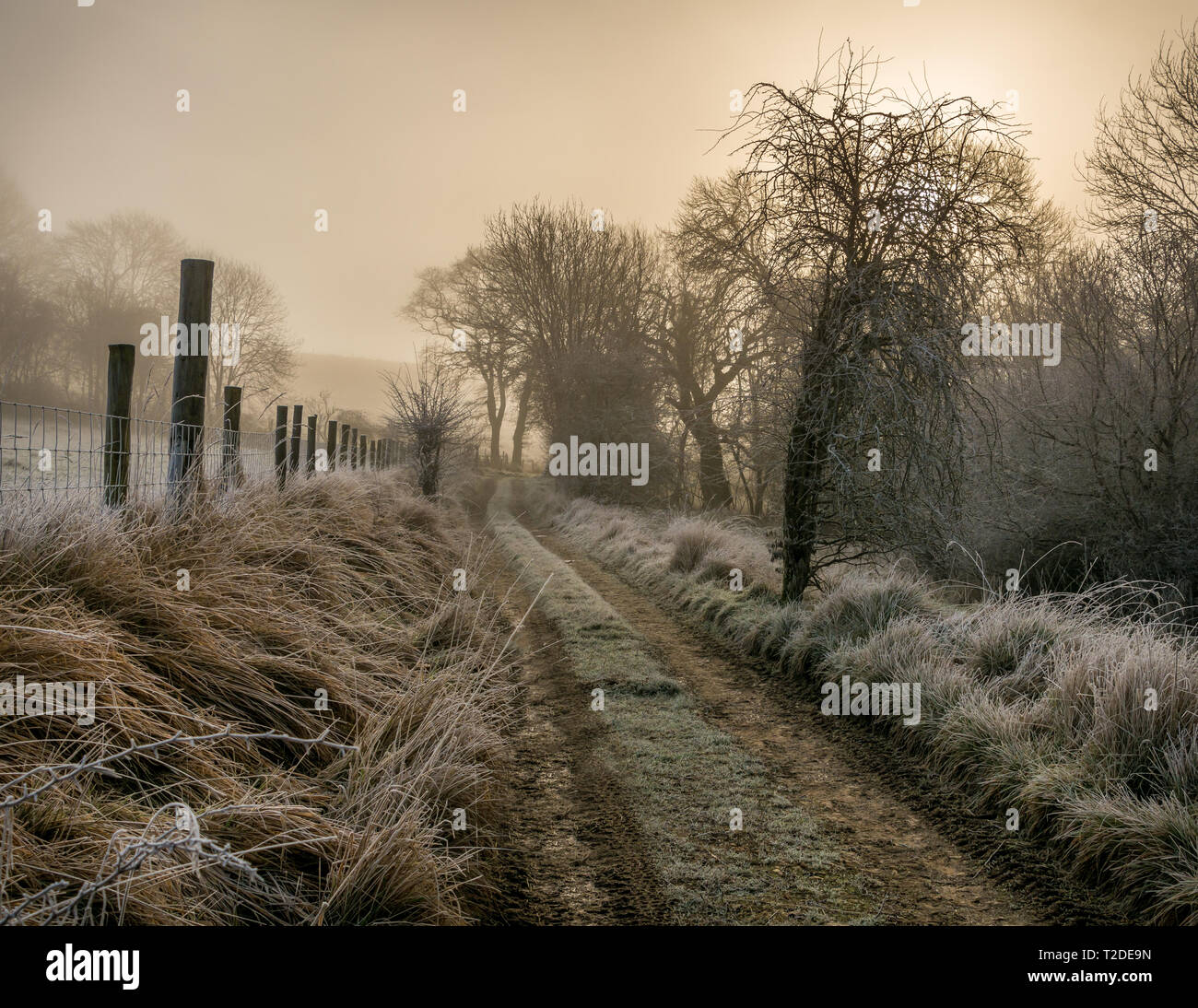 Late afternoon on a frosty January in the country Stock Photo - Alamy