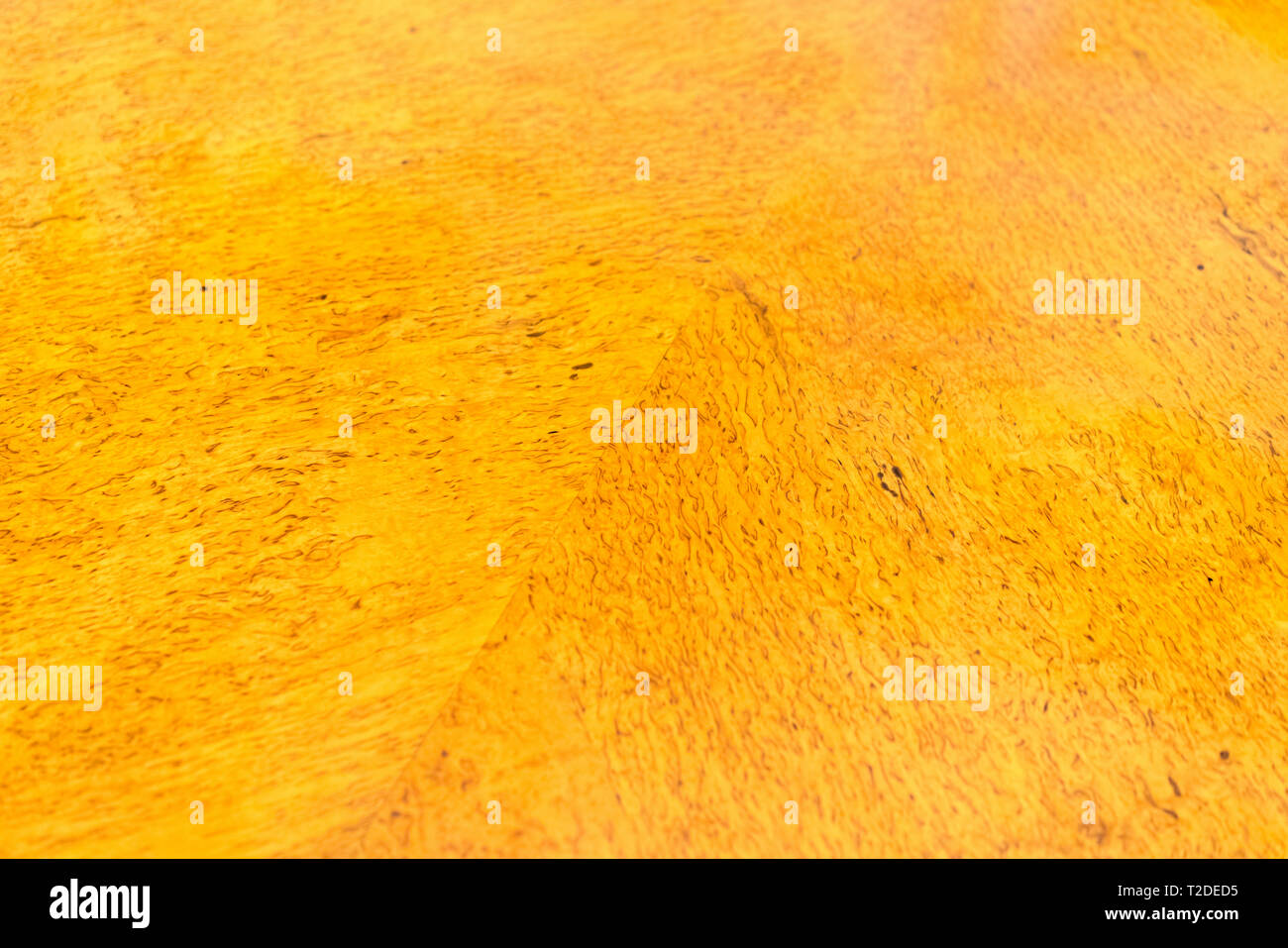 Wood pattern of the Karelian birch, background photo texture. Different ...