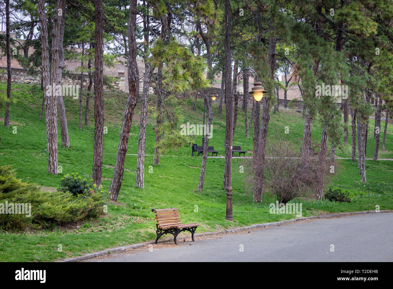 Lighten wooden bench in a beautiful park in Kalemegdan fortress in ...