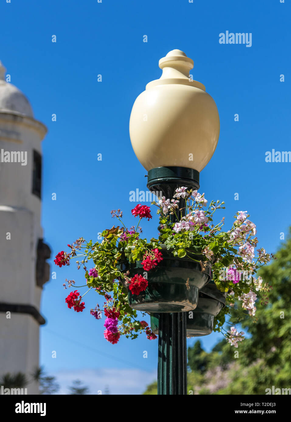 Lamp post hanging flower basket hi-res stock photography and images - Alamy
