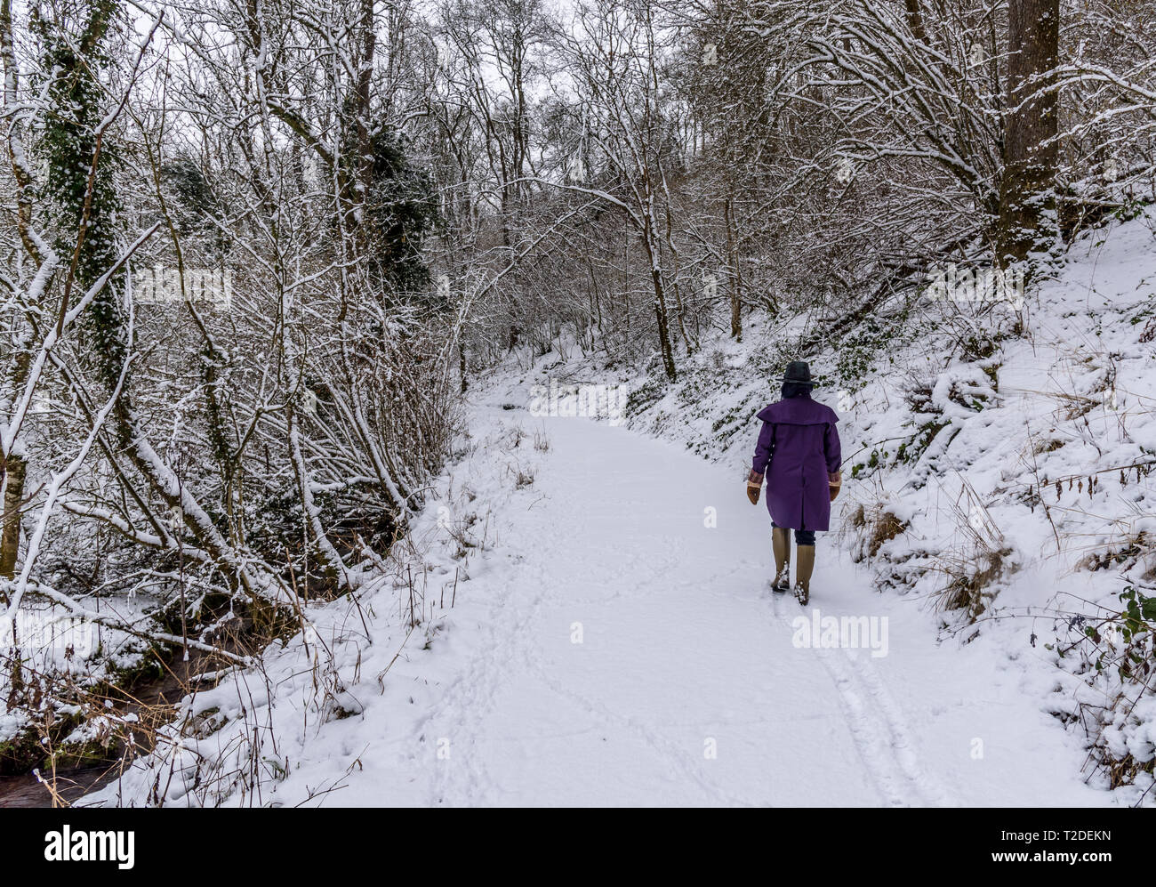 Woman walking along path through hi-res stock photography and images ...